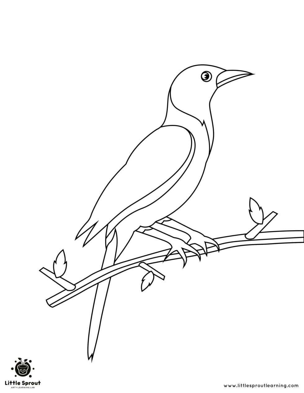 Printable Bird Colouring Pages For Your Child