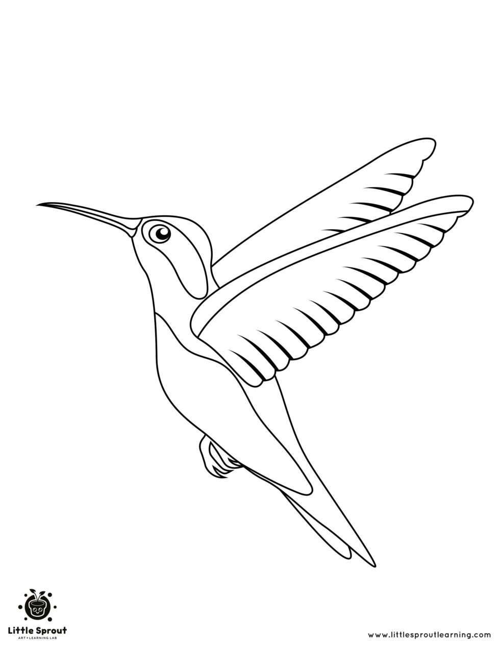 Printable Bird Colouring Pages For Your Child