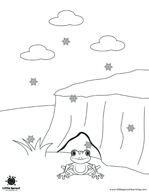 Best Hibernating Animal Coloring Pages - Little Sprout Art