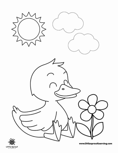 Cute Duck Coloring Page - Little Sprout Art + Learning Lab