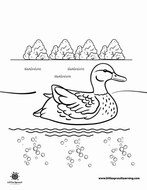 Duck Coloring Pages – 20 Free Printable Fun For Kids - Little Sprout ...