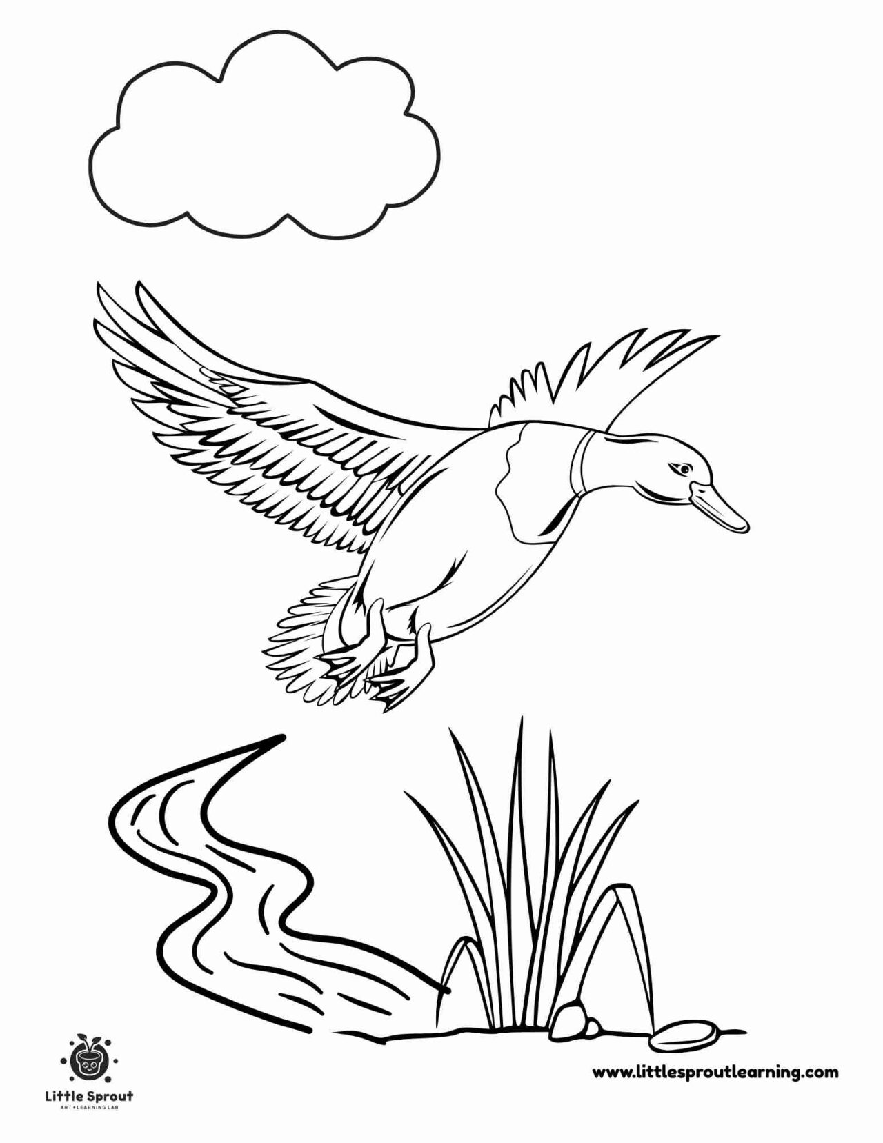 Duck Coloring Pages – 20 Free Printable Fun For Kids - Little Sprout ...
