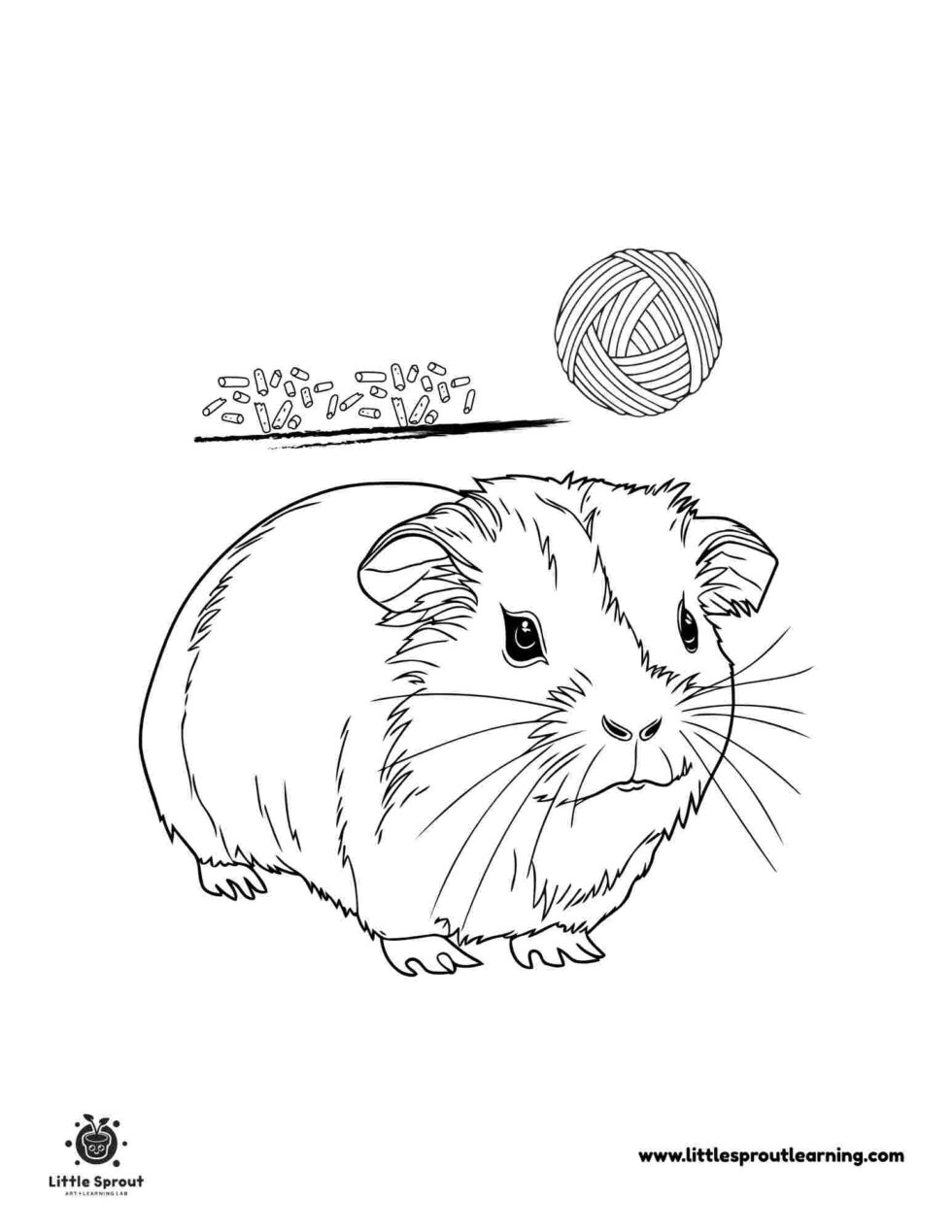 Realistic Hamster Coloring Page - Little Sprout Art + Learning Lab