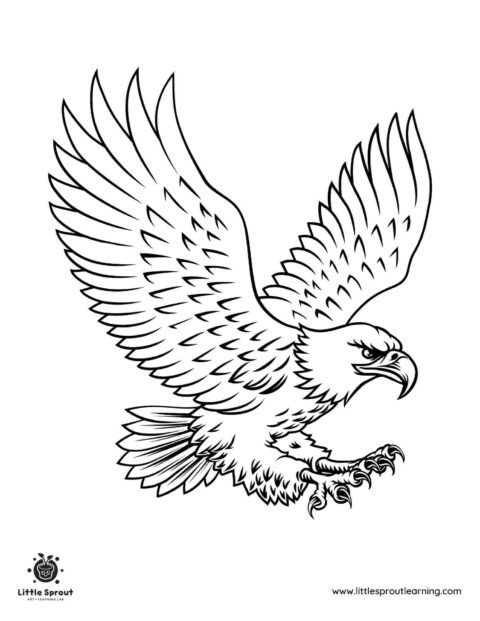 Bald Eagle Coloring Page - Little Sprout Art + Learning Lab