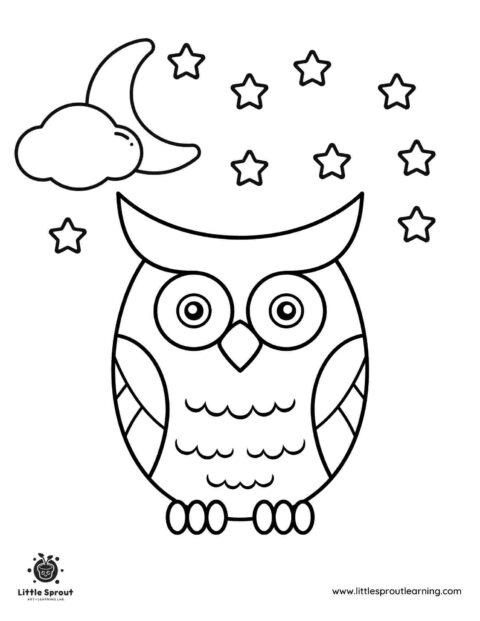 Cute Owl Coloring Page - Little Sprout Art + Learning Lab