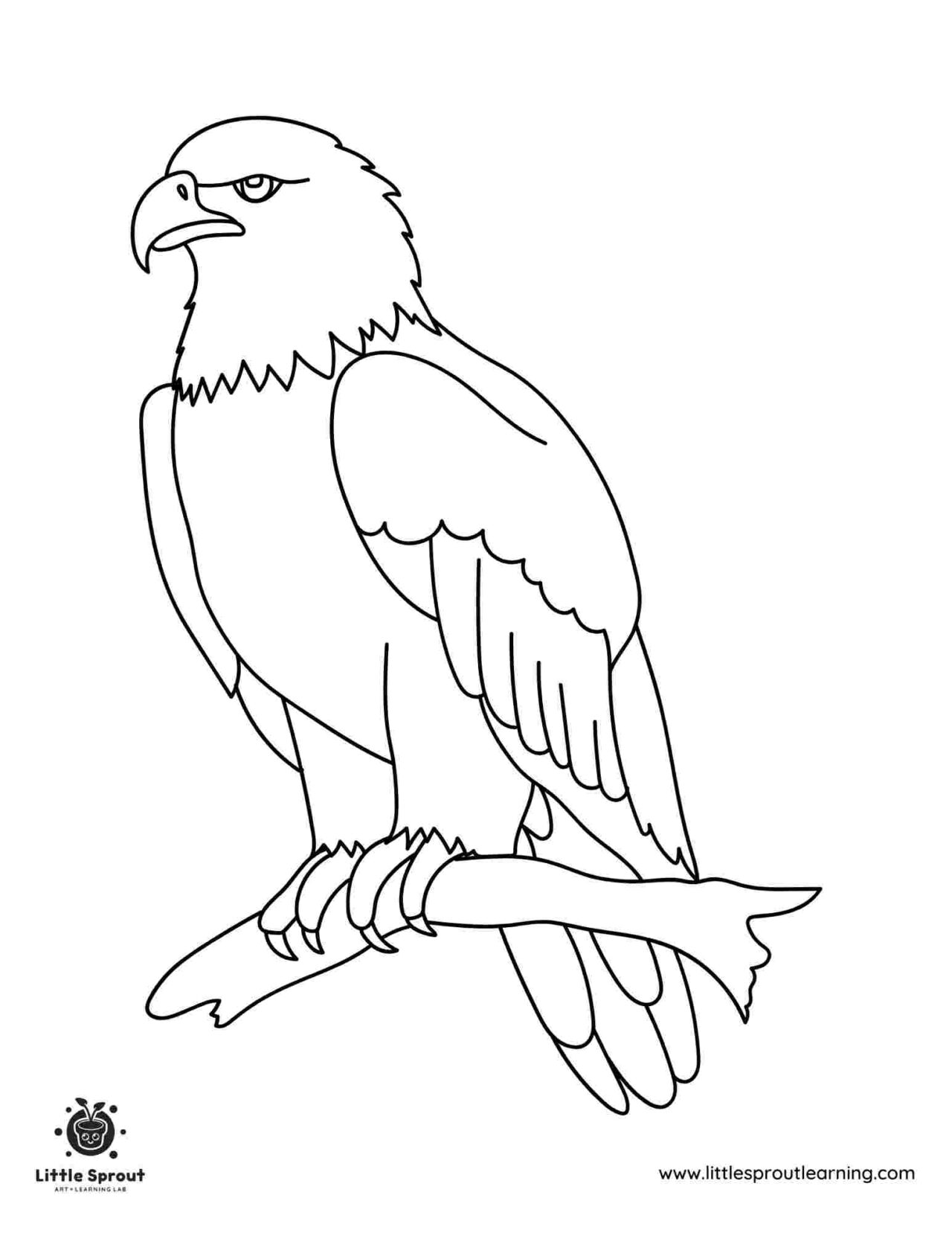 Printable Bird Colouring Pages For Your Child