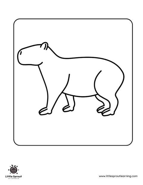 20 Free Capybara Coloring Sheets For Children - Little Sprout Art ...