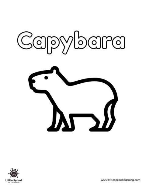 Christmas Capybara Coloring Page - Little Sprout Art + Learning Lab