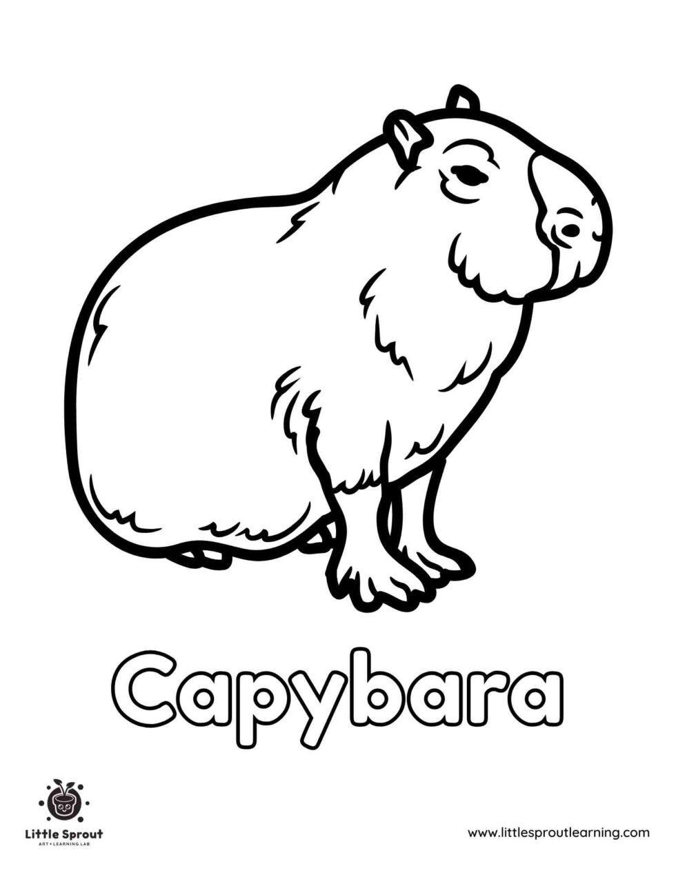 Free Capybara Coloring Page - Little Sprout Art + Learning Lab